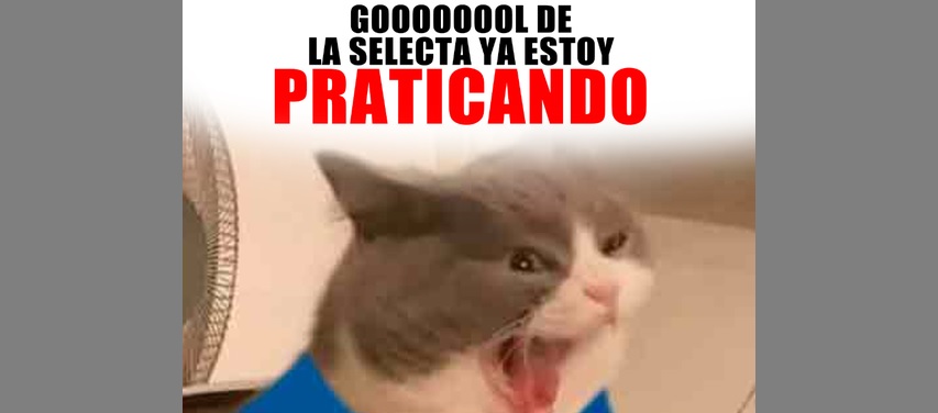 (FOTOS) Los mejores memes del choque México-El Salvador - El Blog